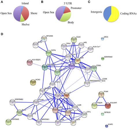 A Functional Genomic Distribution B Cpg Content And Neighborhood Download Scientific