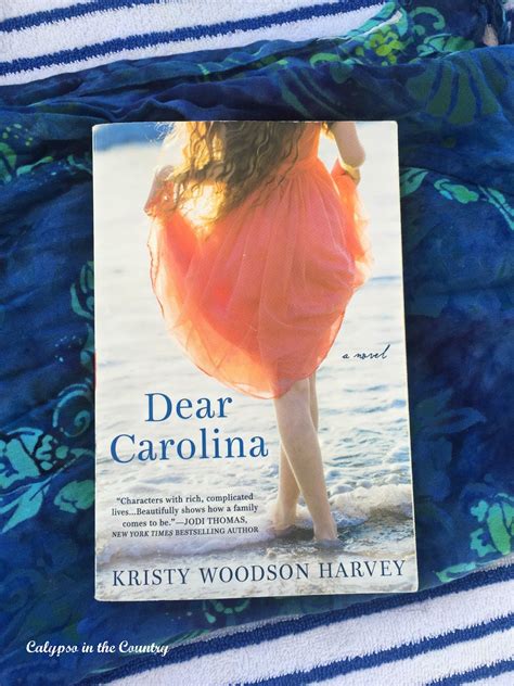 3 Great Books To Read This Summer Calypso In The Country