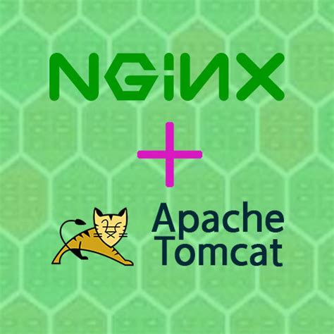 Nginx Tomcat 톰캣 설치