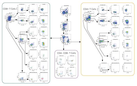 Cytek® 25 Color Immunoprofiling Assay Cfluor® Reagent Kit 18c Gene