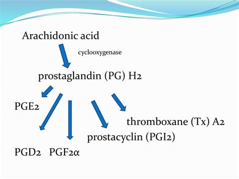 Non Opioid Pharmacologic Options Ppt Download