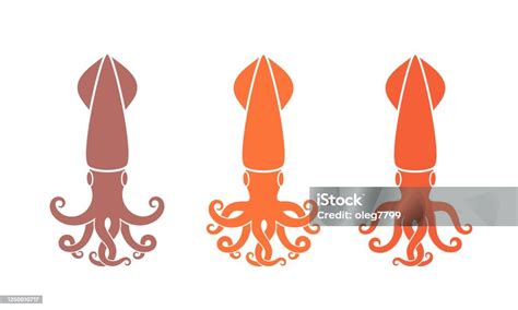 오징어 로고 흰색 배경에 고립 된 오징어 오징어에 대한 스톡 벡터 아트 및 기타 이미지 오징어 갑오징어류 0명 Istock