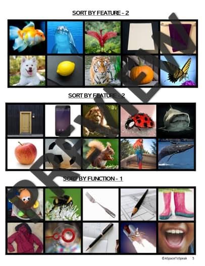 Sorting By Function Feature Class By A Space To Speak Tpt
