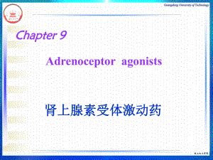 第九章肾上腺素受体激动药