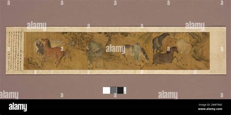 Zhao Yong Immagini E Fotografie Stock Ad Alta Risoluzione Alamy