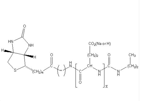 BT PLE 聚L谷氨酸钠盐 生物素 聚氨基酸 端基修饰 Poly L glutamic acid sodium salt Biotin