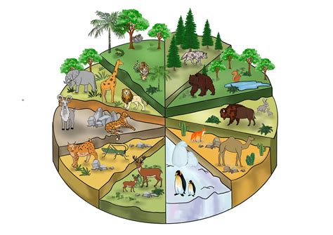 Download Geography Map Distribution Royalty Free Stock Illustration