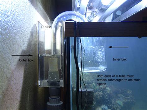 Installing A Sump In An Existing Setup Melev S Reef