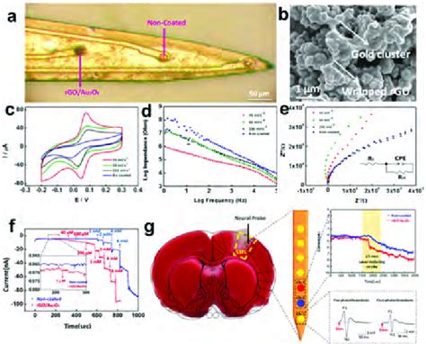 Implantable Graphene Neural Electrodes For Acute Stroke Monitoring A