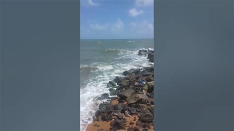 නිල්වන් මුහුදු තීරේ ගල් මල් පිපුණු යායේ🏝️🌅👌 Beutifull Srilanka Beach Viral Subscribe