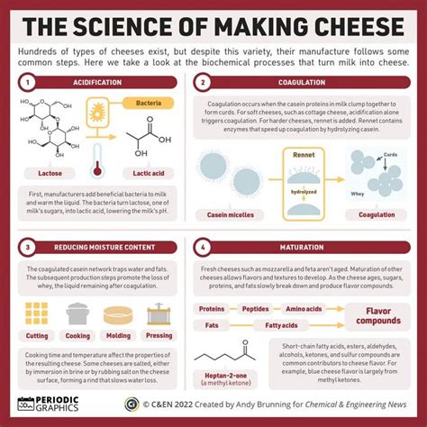Periodic Graphics The Science Of Making Cheese How To Make Cheese