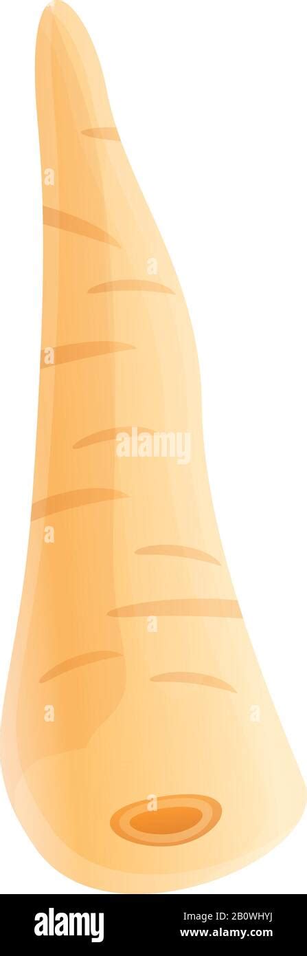 culinary parsnip icon cartoon of culinary parsnip vector icon for web