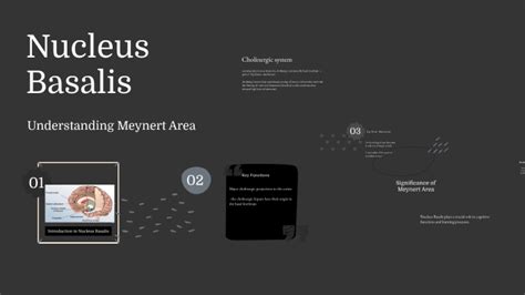 Nucleus Basalis By Tina On Prezi