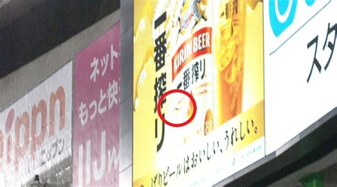 “看板直撃”で100万円＆ビール1年分ゲット 広島・デビッドソンが特大の5号ホームランで先制（2023年4月28日掲載）｜日テレnews Nnn