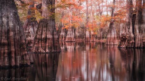 Florida Panoramas Florida Landscape Photography By Paul Marcellini