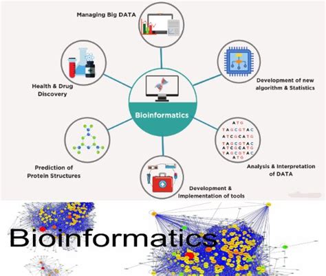 Bioinformatics Platforms Market Is Booming Worldwide 2023 2030 Bioinformatics Platforms Market Is Booming Worldwide 2023 2030