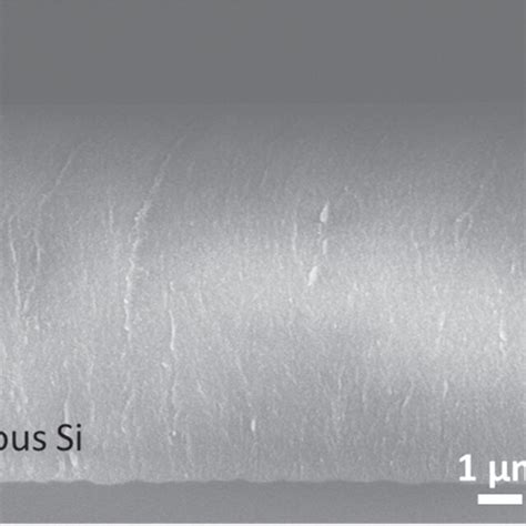 Porous Si Layer 10 μm Thick On A Si Substrate Download Scientific