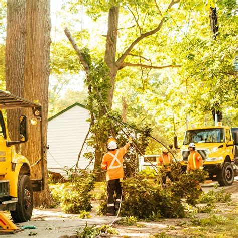 Real Experience For Real Life With A Really Fabulous Employer 💪