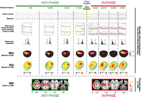 Observations Of Phase Transitions And Their Neural Correlates Behavior Download Scientific