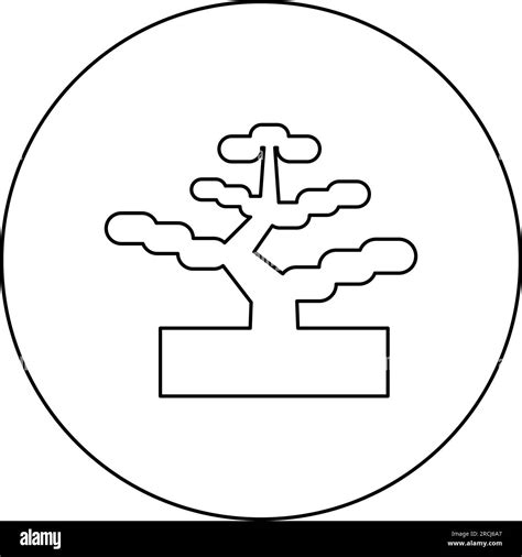 Bonsai Pine Tree Garden Concept Plant Japanese Icon In Circle Round
