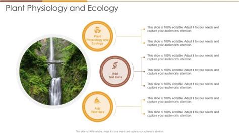 Plant Ecology Powerpoint Presentation And Slides Ppt Sample Slideteam