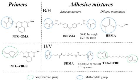 Function Of Primer In Bonding Agent At Annabelle Wang Blog