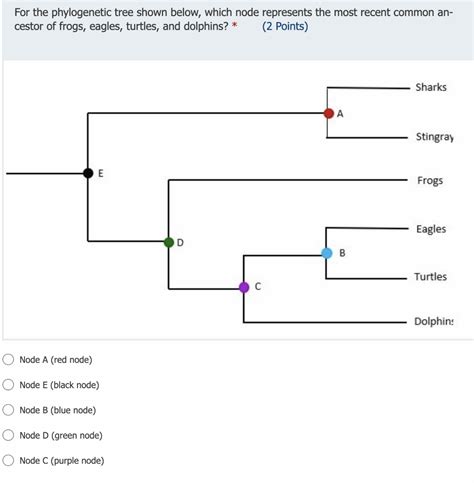 Solved For The Phylogenetic Tree Shown Below Which Node
