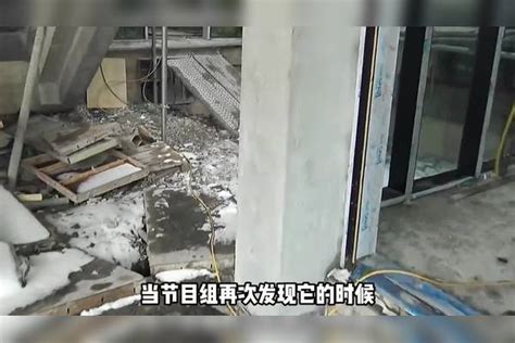丈夫失踪，幼犬不幸离世，母狗彻底崩溃了！最后能与老伴团聚吗
