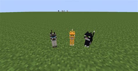 Minecraft En Txt Cómo Domesticar Gatos En Minecraft