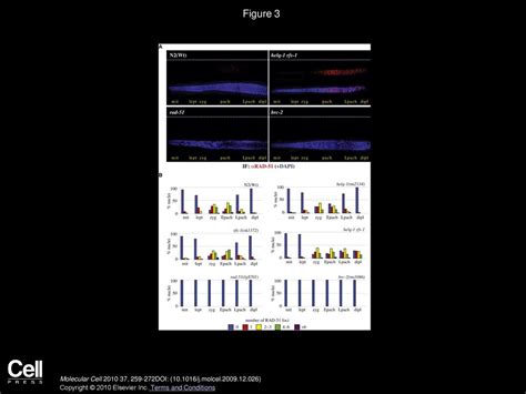 Volume 37 Issue 2 Pages January 2010 Ppt Download