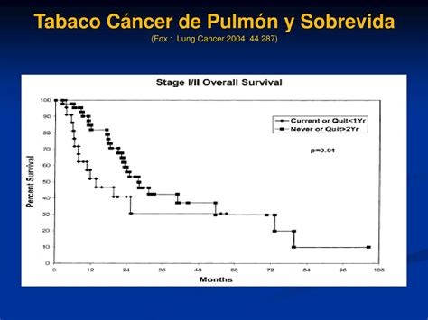 PPT - Cáncer de Pulmón TABACO Y TRATAMIENTO PowerPoint Presentation, free download - ID:825896