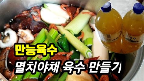 멸치야채 육수 만들기만능육수진한육수 맛있게 내는법멸치 육수로 잔치국수 해먹어요 Youtube