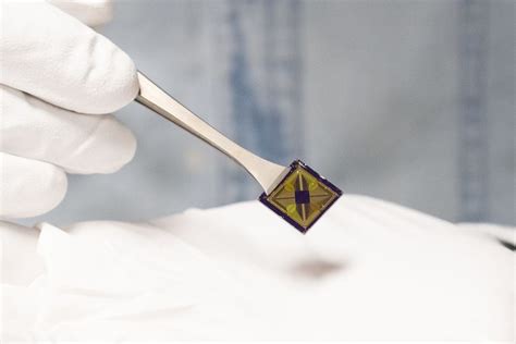 An Electronic Tongue That Can Identify The Taste Of Food Has Been