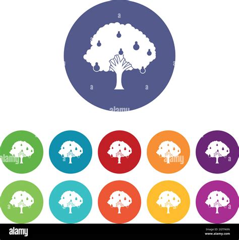 Pear Tree With Pears Set Icons Stock Vector Image Art Alamy