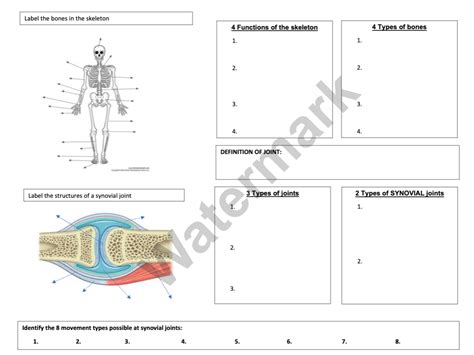 Cambridge Igcse Pe Topic 1 Anatomy And Physiology Knowledge Organisers