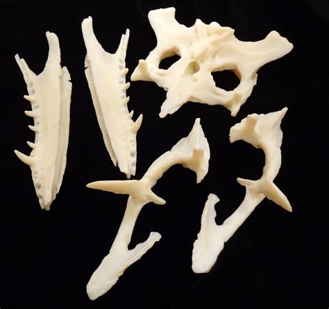 Partsnap 3d Printing Gallery