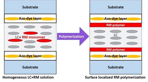Materials Free Full Text Process For A Reactive Monomer Alignment