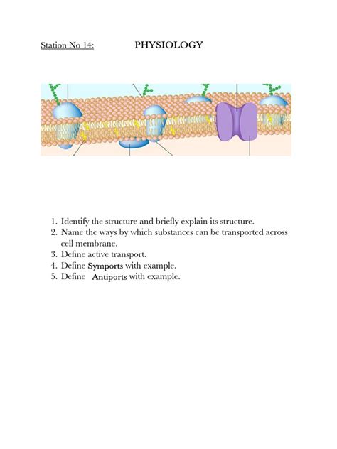 Physiology Foundation Ospe Pdf