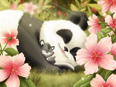 Cute Panda And Cub Wallpaper Colorful Wallpaper Better