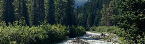 Rogers Pass To Bonnie Glacier British Columbia Canada 4 Reviews