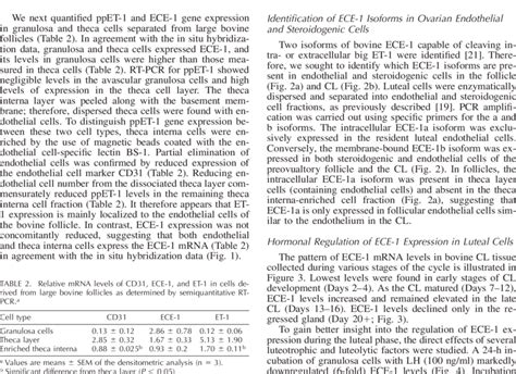 Detection Of Ece 1 Mrna In Sections Of Bovine Antral Follicles By In