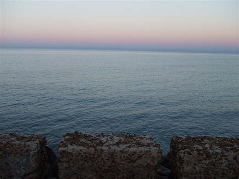 أبريل 2008 مدونة زبادى خلاط Ayman Blog