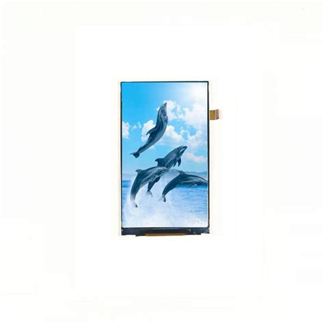 5 5 Inch LCD Display With HD 720p IPS Panel TouchScreen MIPI Interface Go2Display