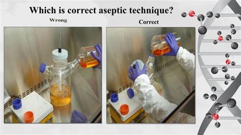 Sterility Testing Usp 71 Pdf Chemistry Science
