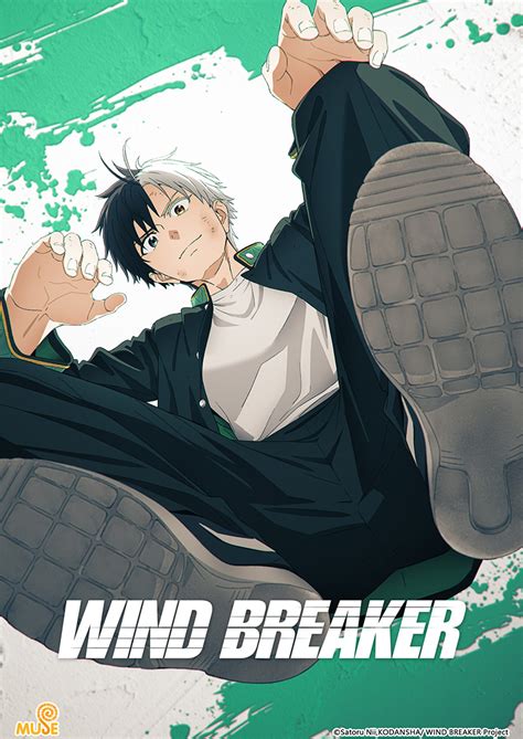 Wind Breaker Muse Ltd