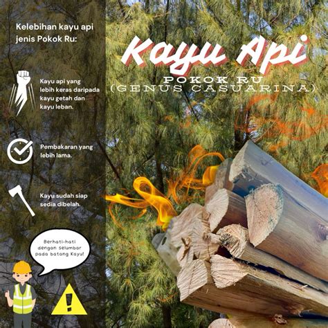 1 Ikat Kayu Api 35cm Bbq Camping Salai Kayu Pokok Ru Shopee Malaysia
