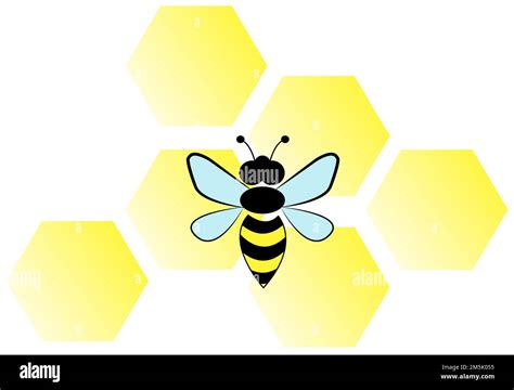Bee With Honeycomb Stock Vector Image And Art Alamy