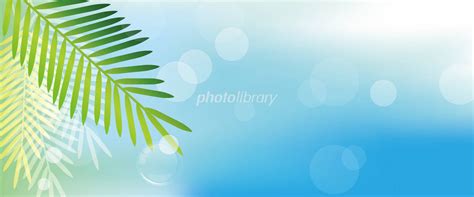 夏のイメージの背景イラスト ヤシの木のフレームハイビスカス イラスト素材 6421597 フォトライブラリー Photolibrary