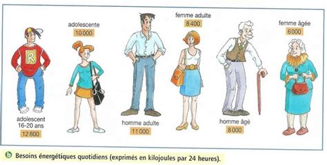Représenter Les Information Sur La Dépense énergétique Dans Un Tableau