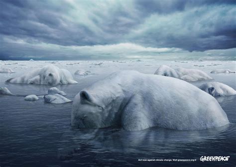Polar Bears Greenpeace